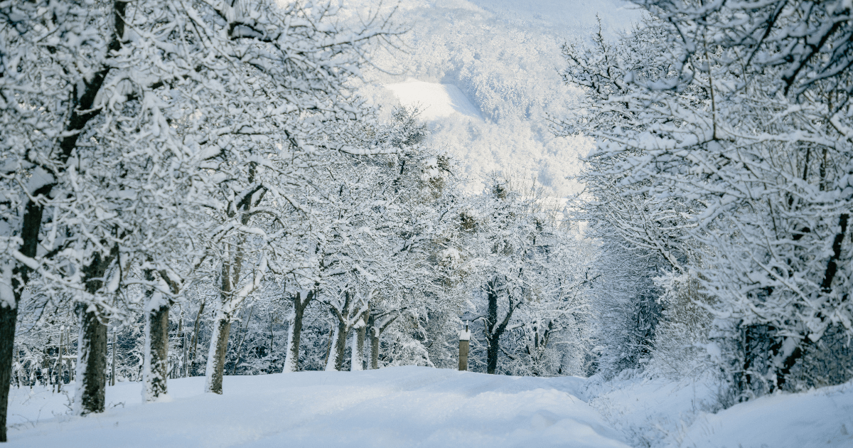 Baby It’s Cold Outside Themed Baby Shower Ideas – Cuddle Palette