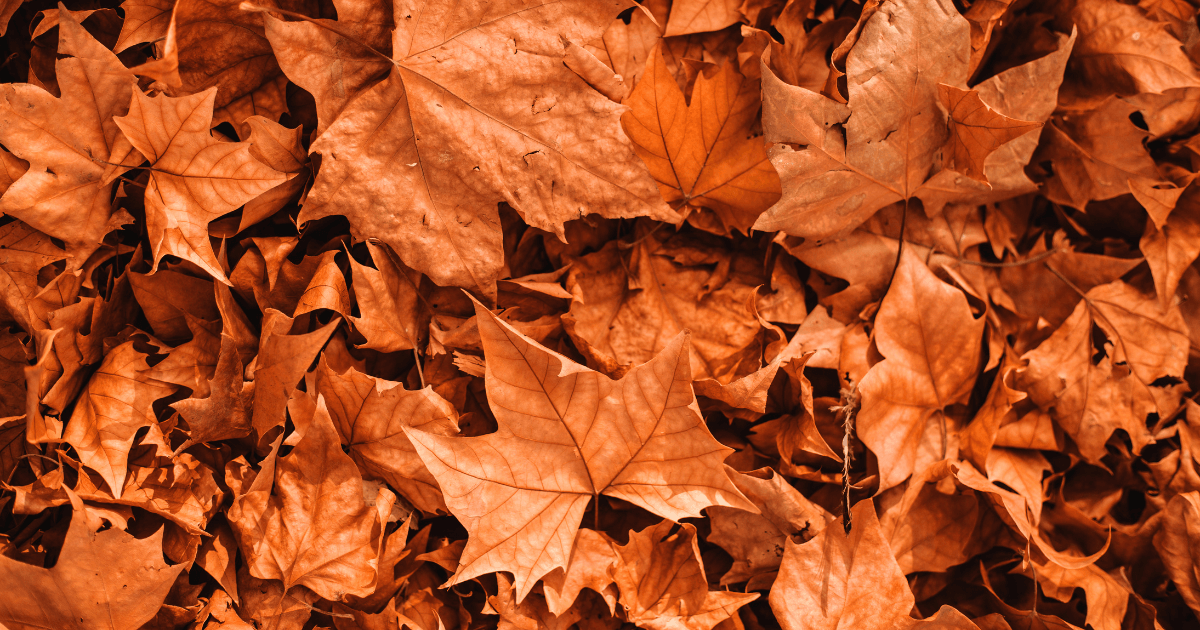 10 Fall Baby Shower Themes and Ideas for a Cozy Celebration – Cuddle ...