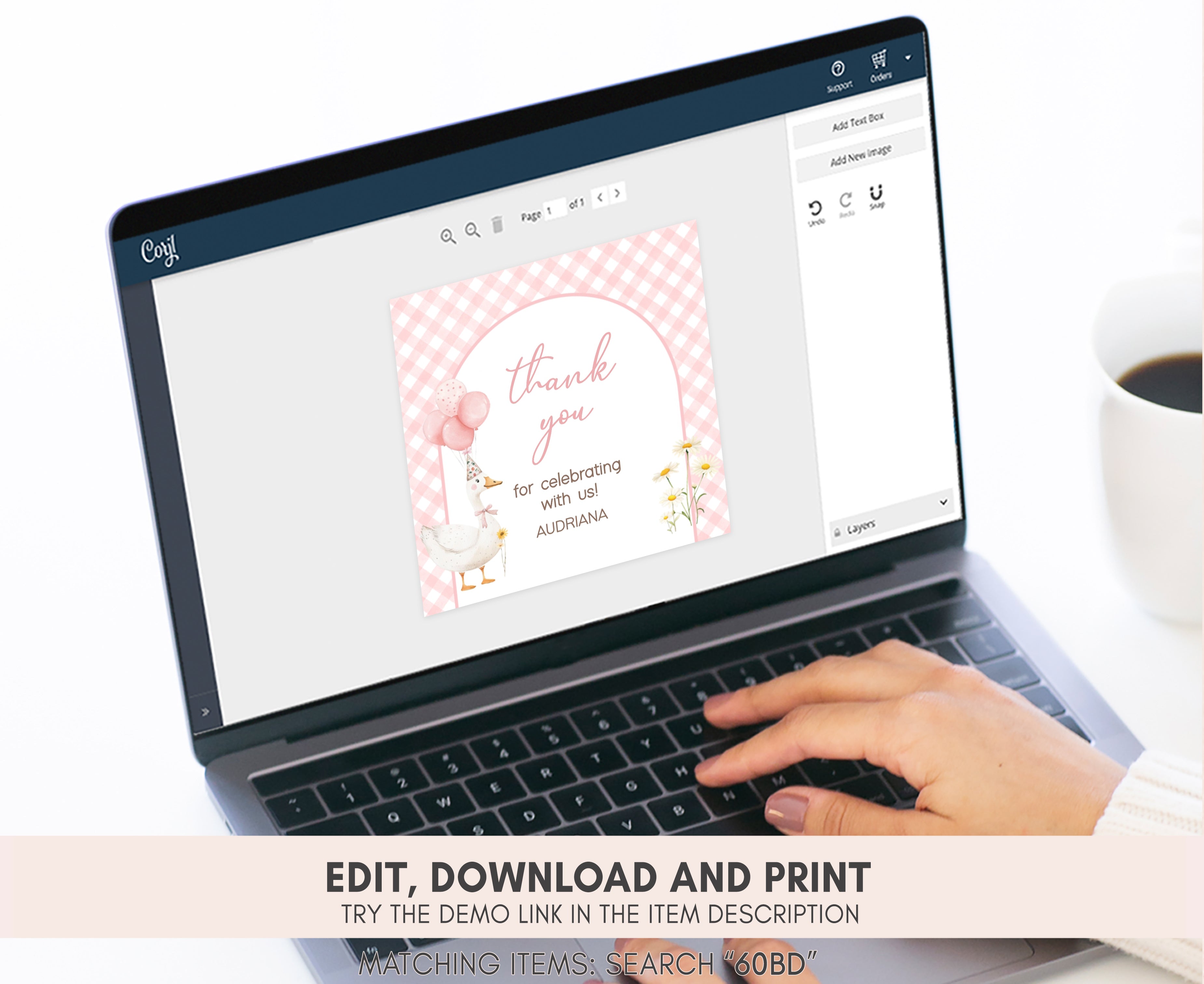 Editable Silly Goose Birthday Party Round Favor Tag – Cuddle Palette